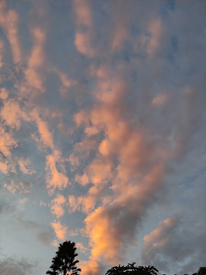 Images - Ivan Singleton